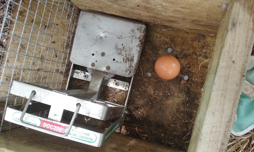 | DOC200 PageFriends of Hunua Ranges